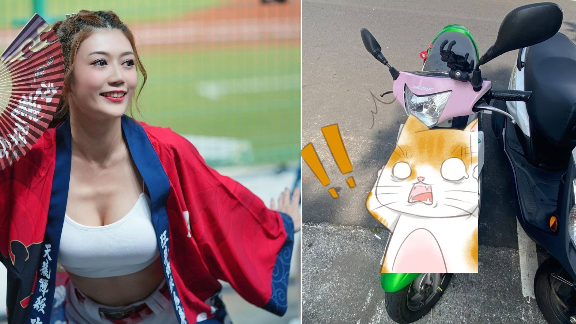 味全龍啦啦隊粉絲瘋過頭！ WeMo共享機車「小龍女車貼與擋泥板」全被偷 | 地球黃金線