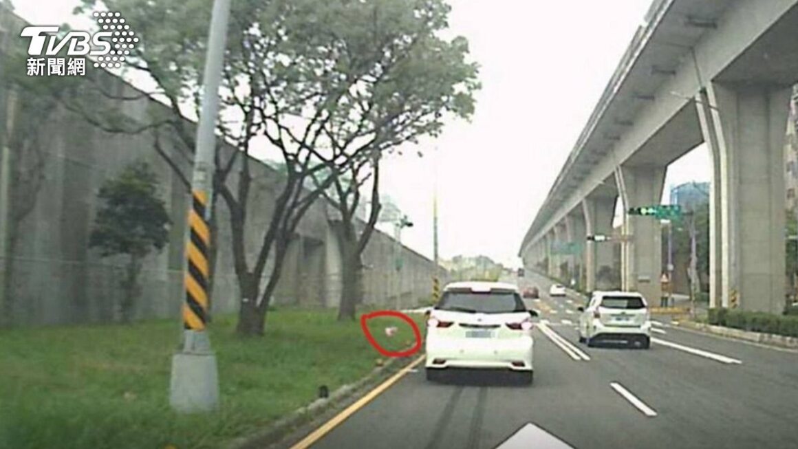 桃園市路上「做6件事」最高罰6千！環保局7月起加重3倍罰則 | 地球黃金線